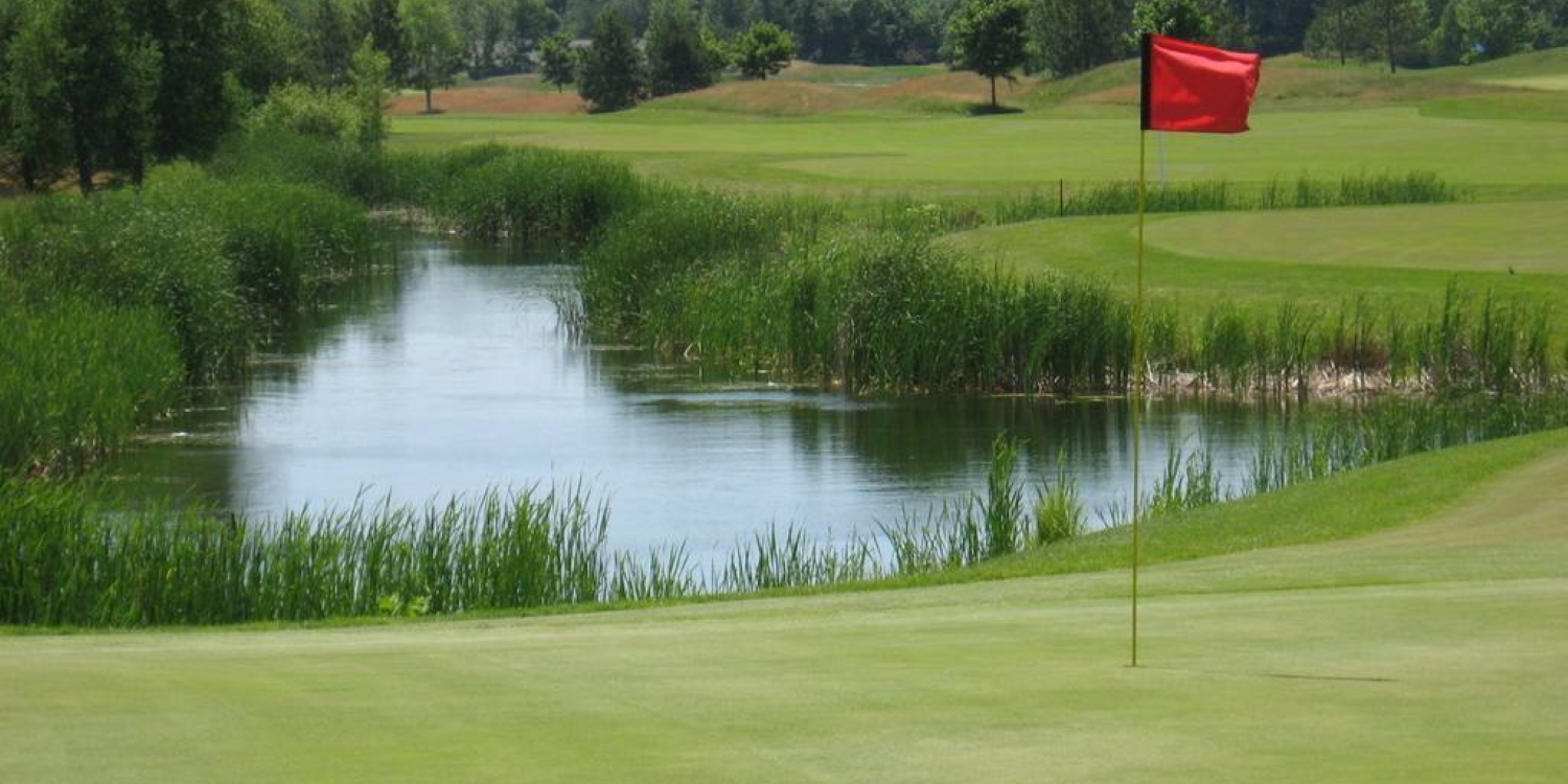 Golf Reviews: Foxfire Golf Club at Par 4 Resort